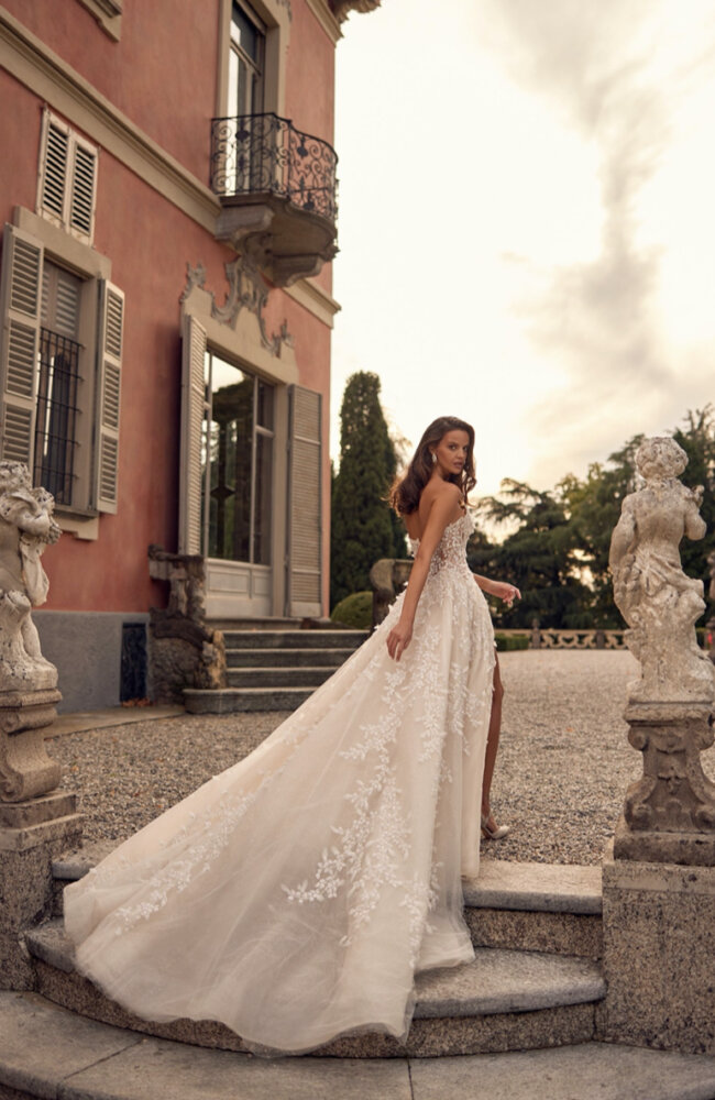 Wedding Ball Gown Back View